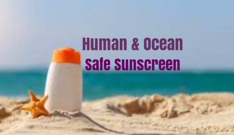 Ocean Safe Coral Safe Sunscreen | Eco Travel