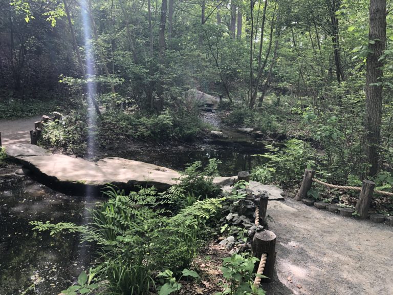 Avalon Park and Preserve | Eco Travel