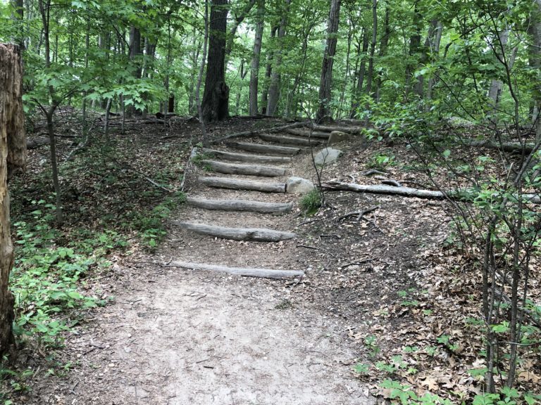 Avalon Park and Preserve | Eco Travel