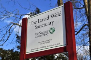 David Weld SanctuaryNorth Shore of Long Island Hike | Time Flies and So ...