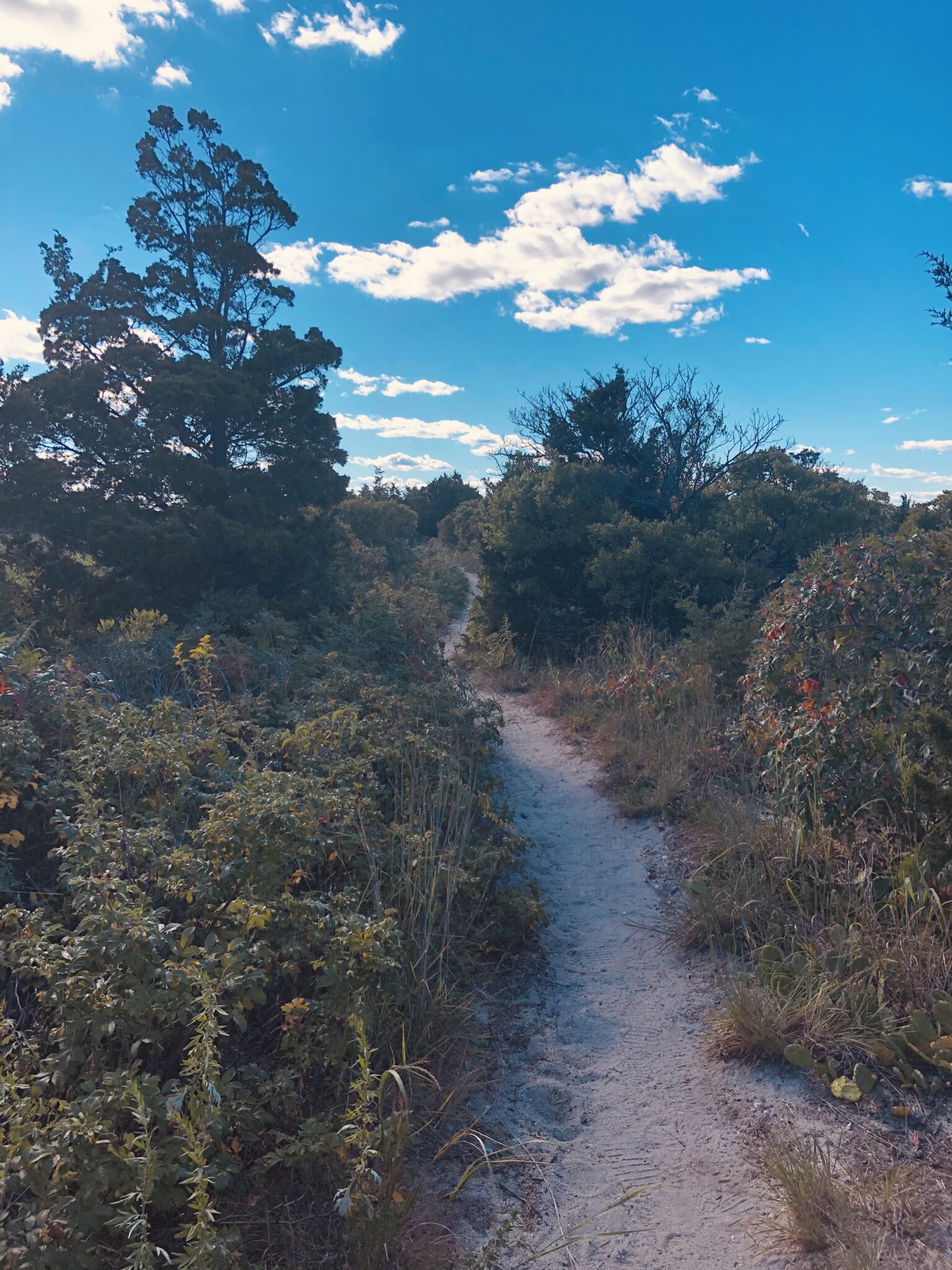 Caumsett State Park, Long Island New York hiking biking | Eco Travel