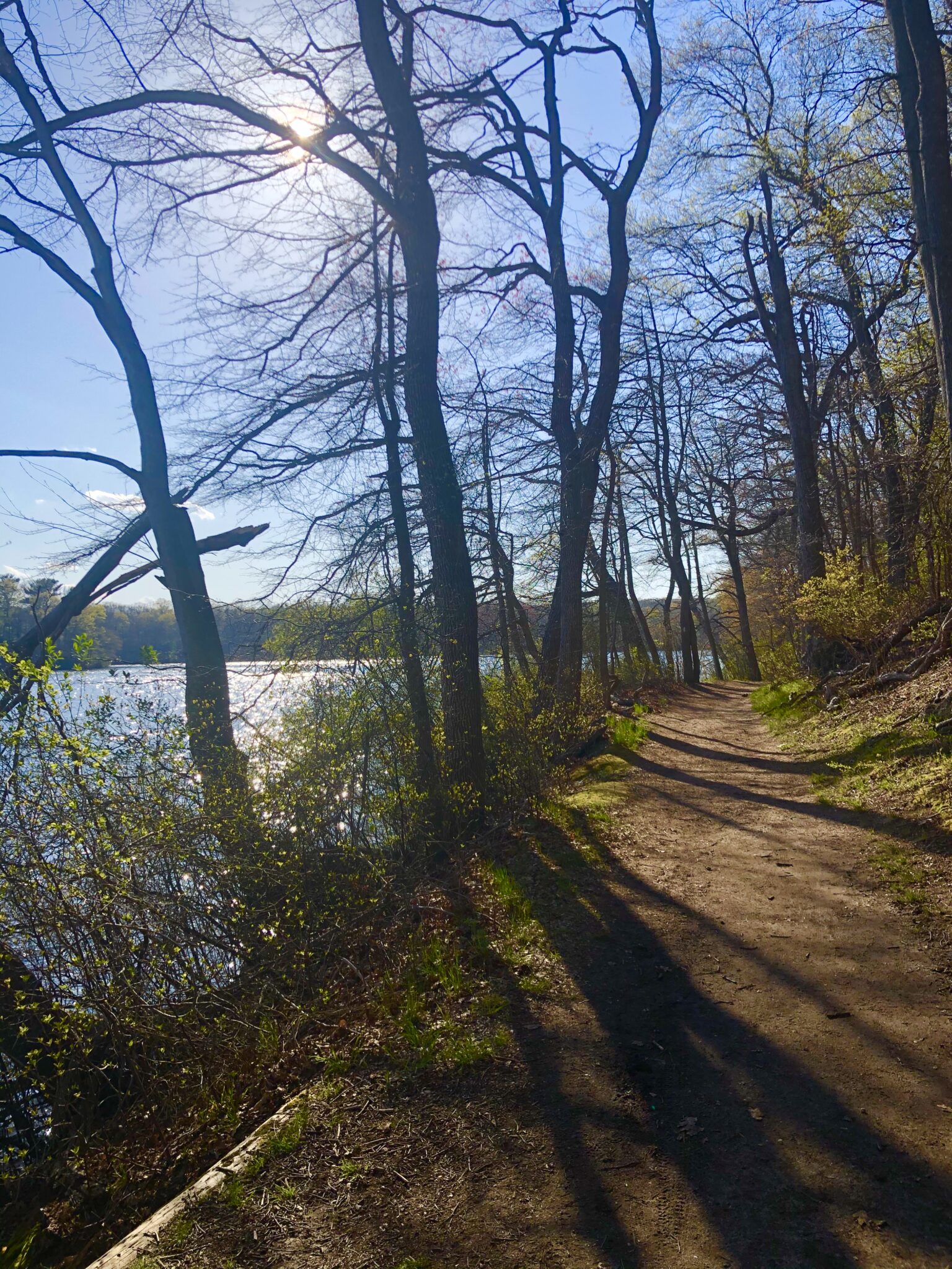Blydenburgh County Park: 6 Mile Long Island Hiking Trail in Smithtown ...