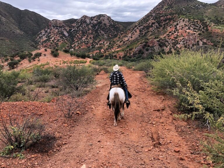 Mexico’s Eco-Friendly Adventure Ranch: Horseback Riding, Canyon Hiking ...