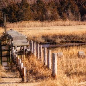 Flax Pond Hike, Long Island | Eco Travel