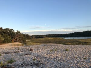Flax Pond Hike, Long Island | Eco Travel