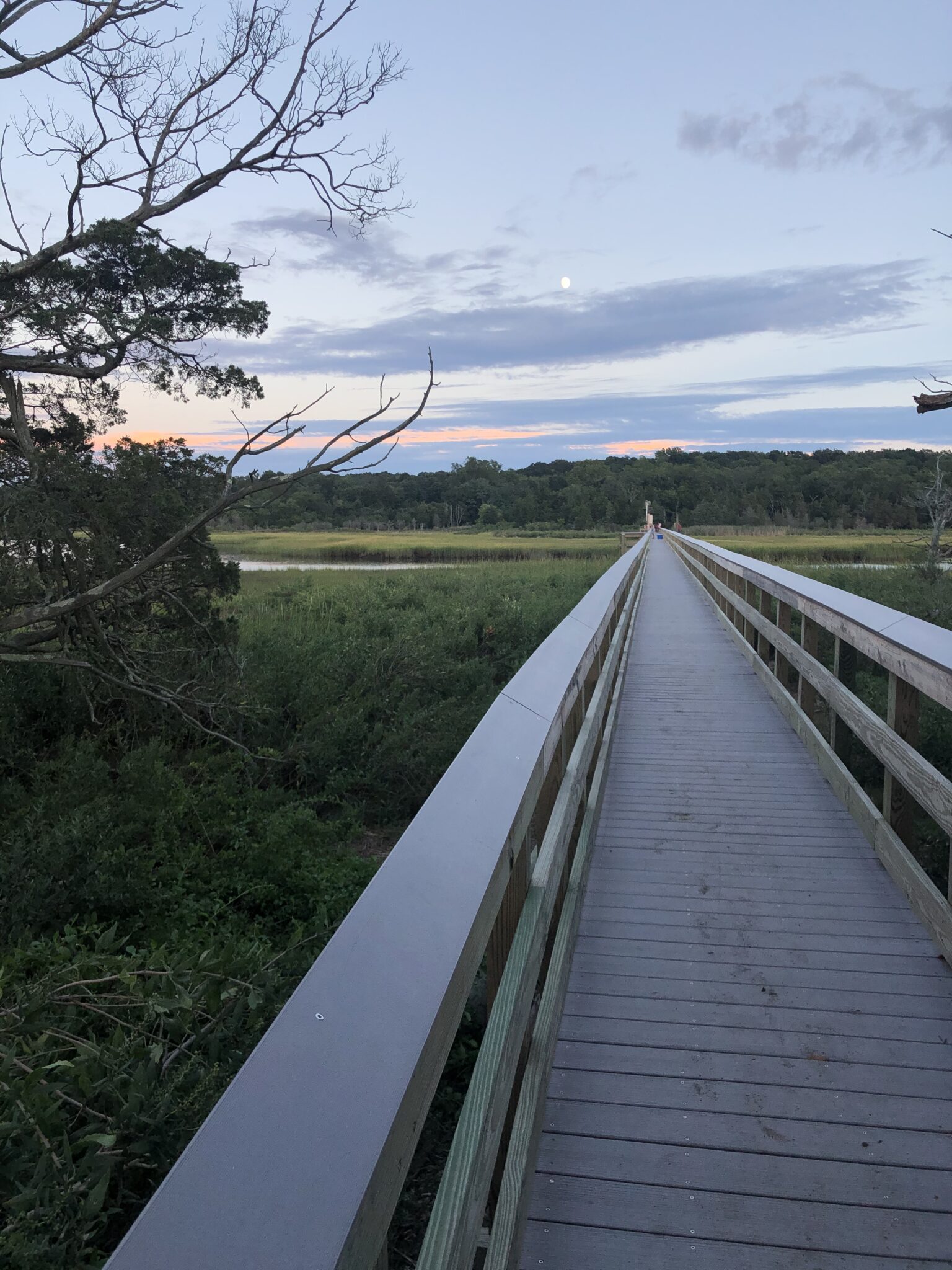 Flax Pond Hike, Long Island | Eco Travel