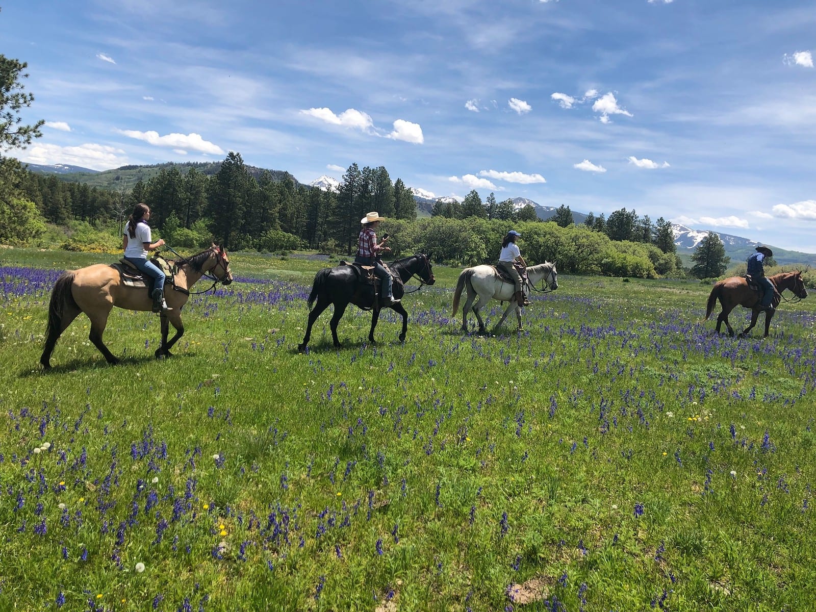 10 Family Spring Break Ideas Without a Passport | Eco Travel