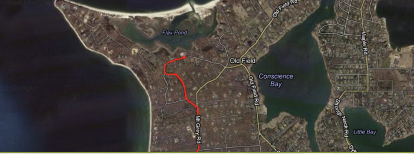 Flax Pond Hike, Long Island | Eco Travel