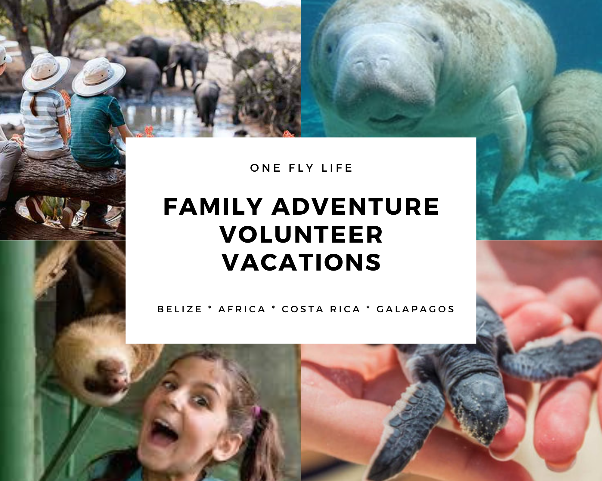Choose Your Destination for an Unforgettable Family Vacations ...