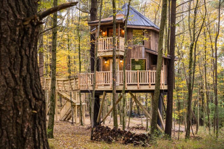 Top 10 Treehouses to Visit in the United States | Eco Travel