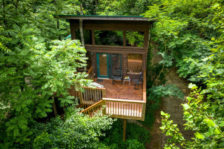 Top 10 Treehouses to Visit in the United States | Eco Travel