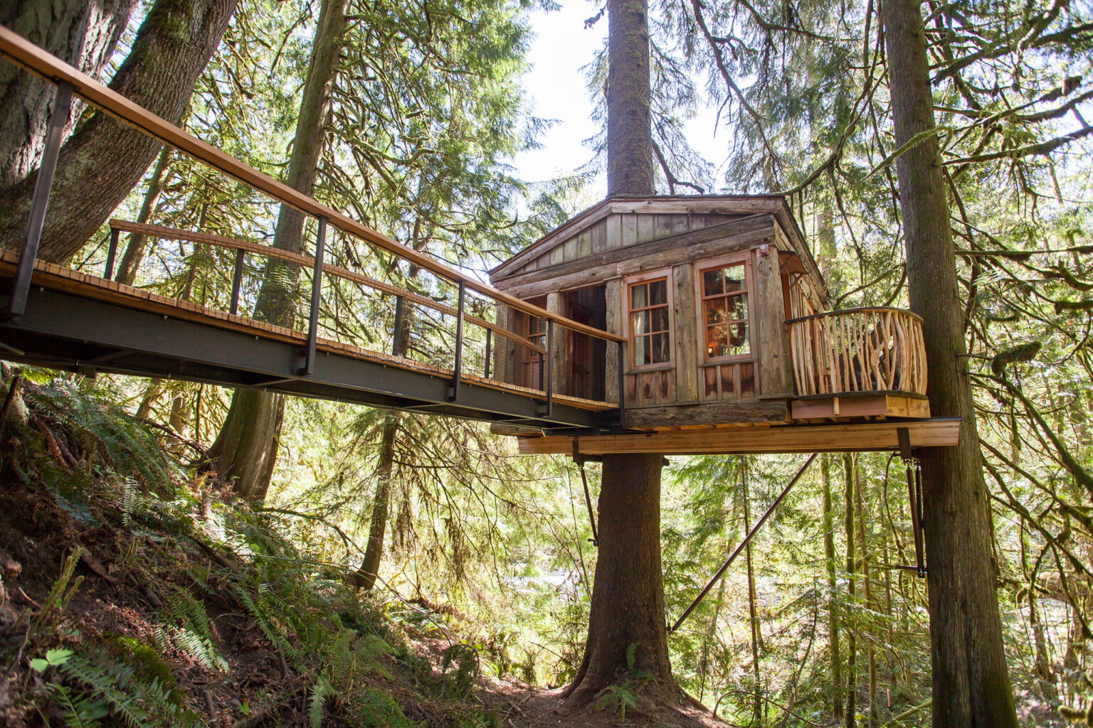 Top 10 Treehouses to Visit in the United States | Eco Travel