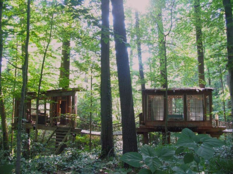 Top 10 Treehouses to Visit in the United States | Eco Travel