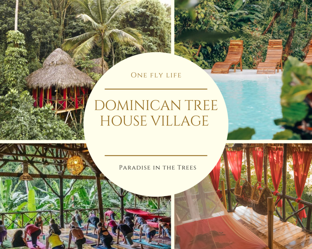 Travel Agency Eco Travel