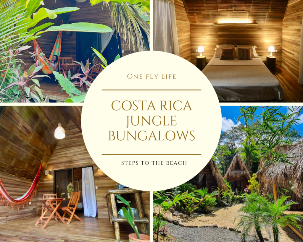 Eco Bungalows Resort in the Jungle of Costa Rica Steps to the Beach ...