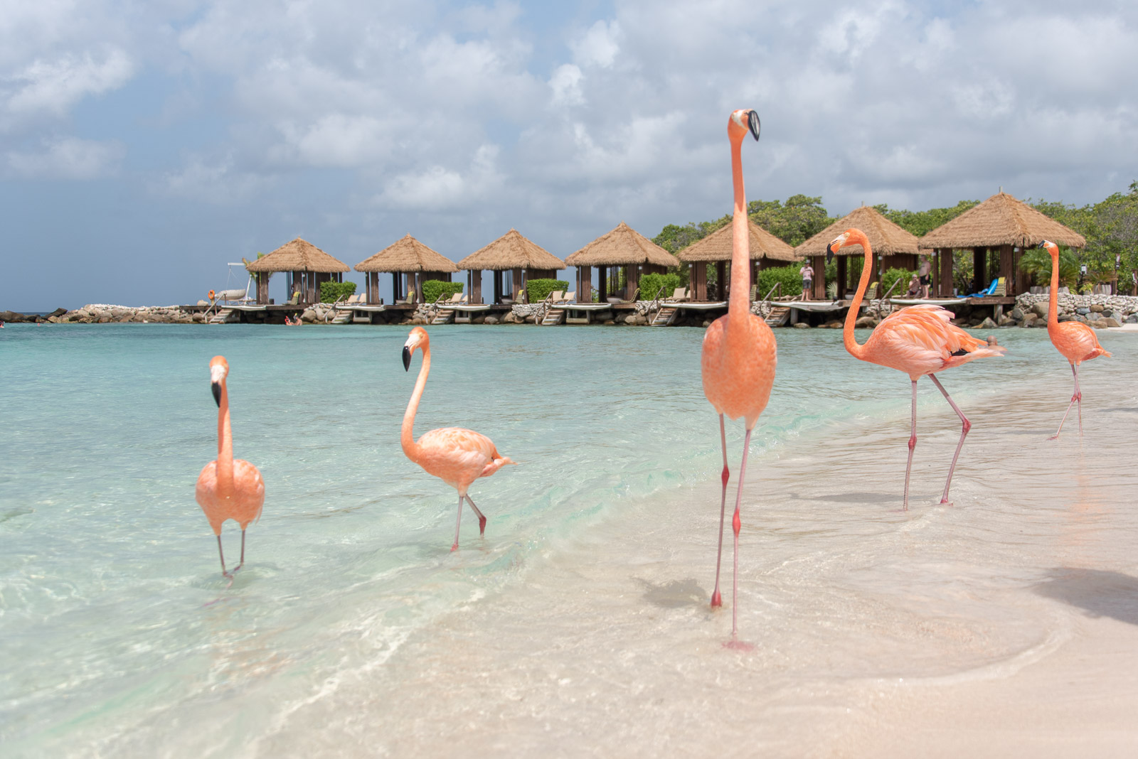 renaissance aruba | Eco Travel