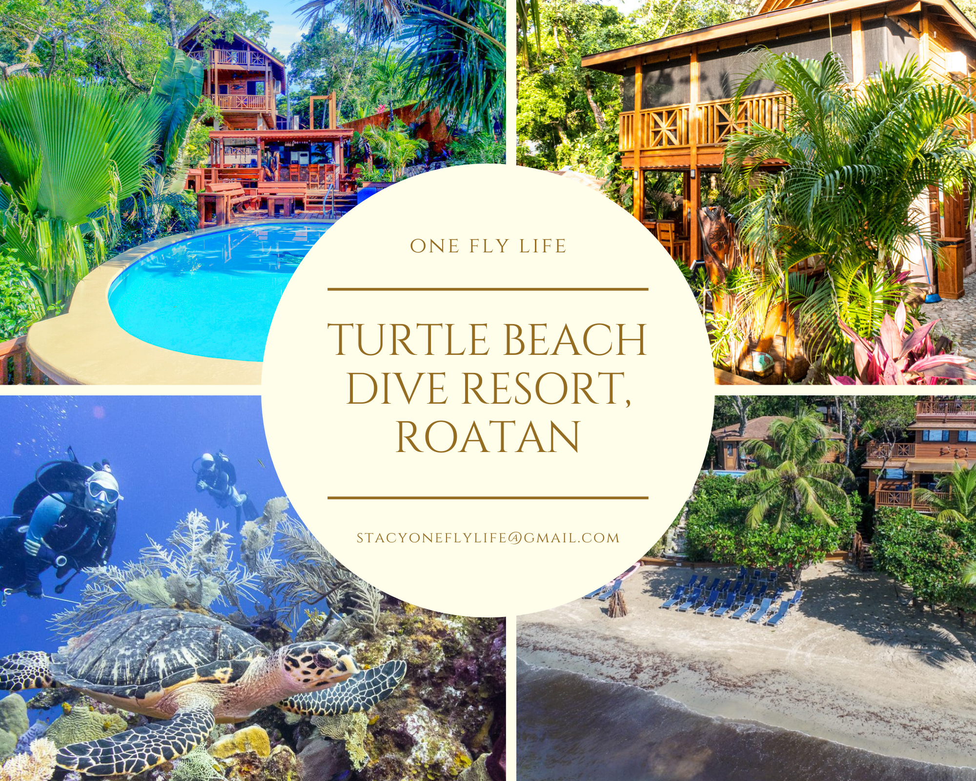 What makes Turtle Beach Dive Resort the Best Private Beachfront to ...