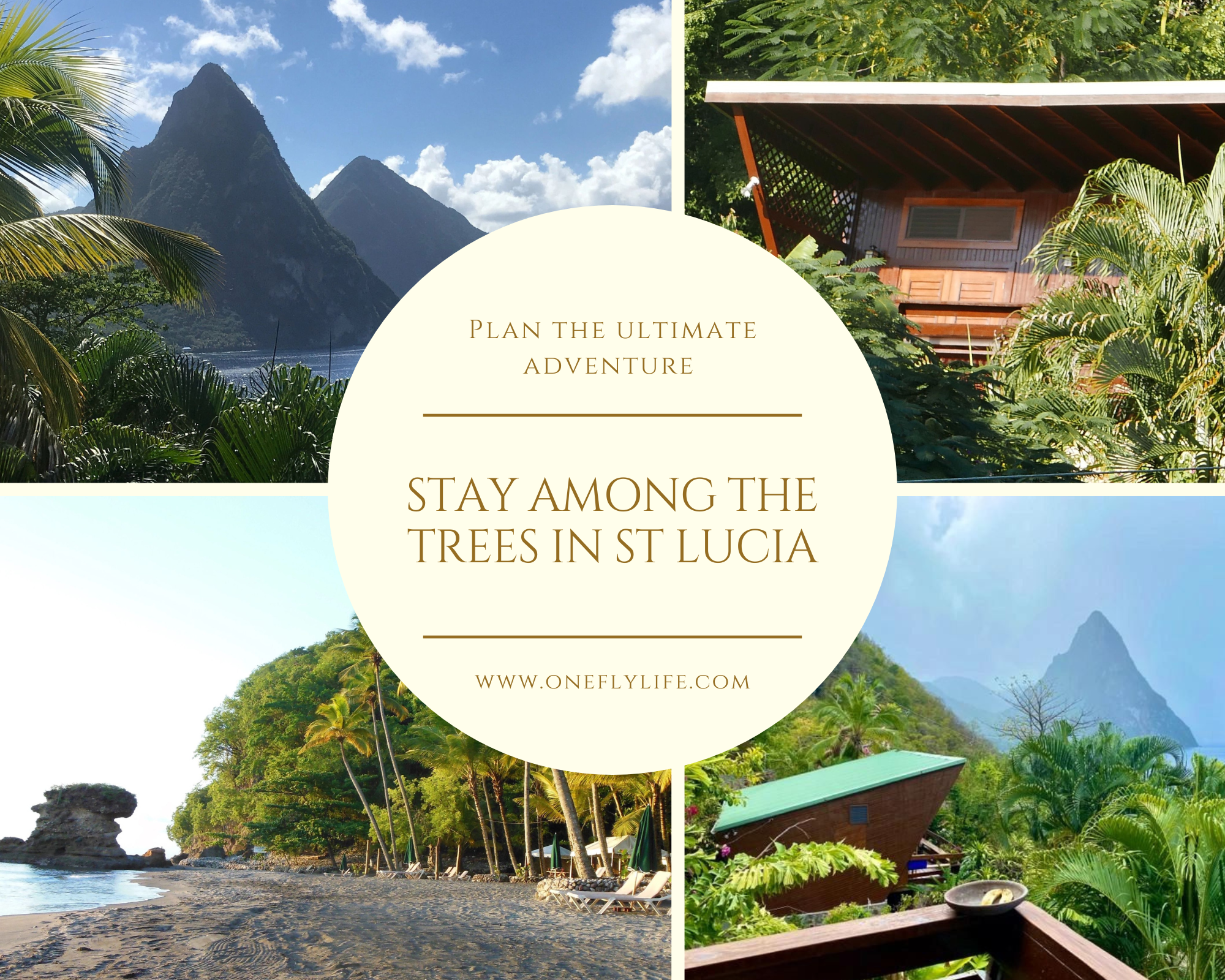 A Stay Among the Treetops in St Lucia | Eco Travel